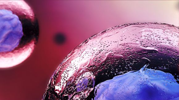 Readers' Choice: The best of Bone Marrow Transplantation 2019