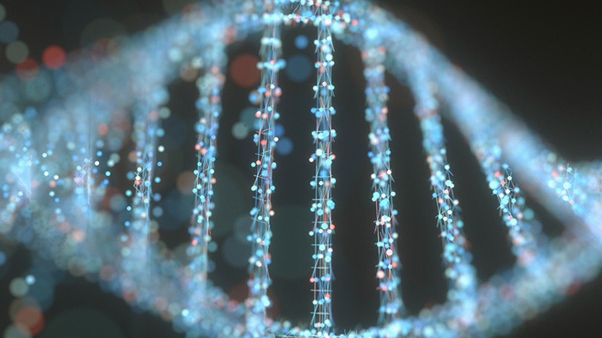 Top 10 in Genetics and Heredity