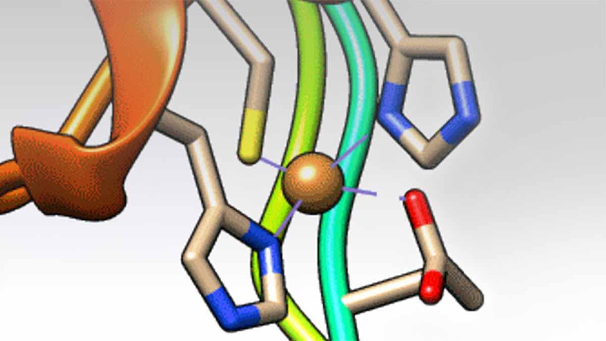 Protein metal–nitrosyl motifs