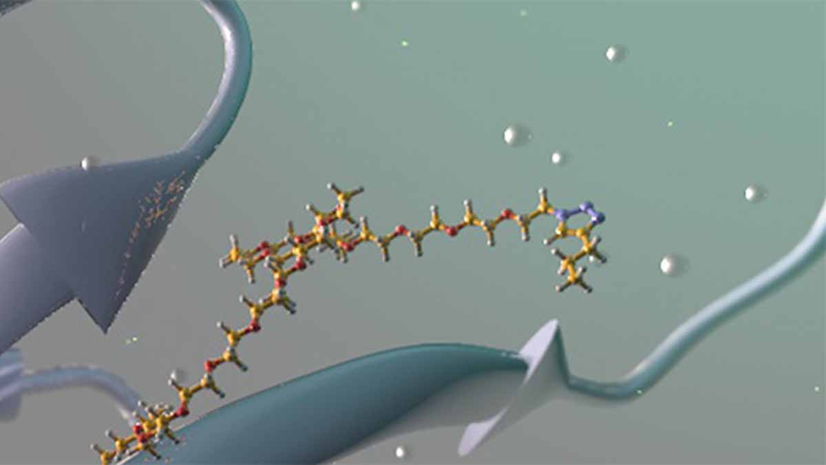 Site-specific modification of proteins