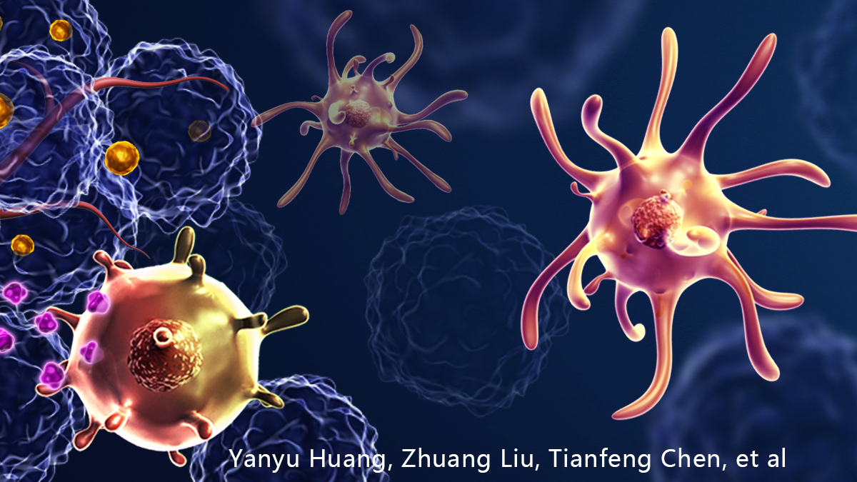 Innovative Nanomaterials for Cancer Therapy