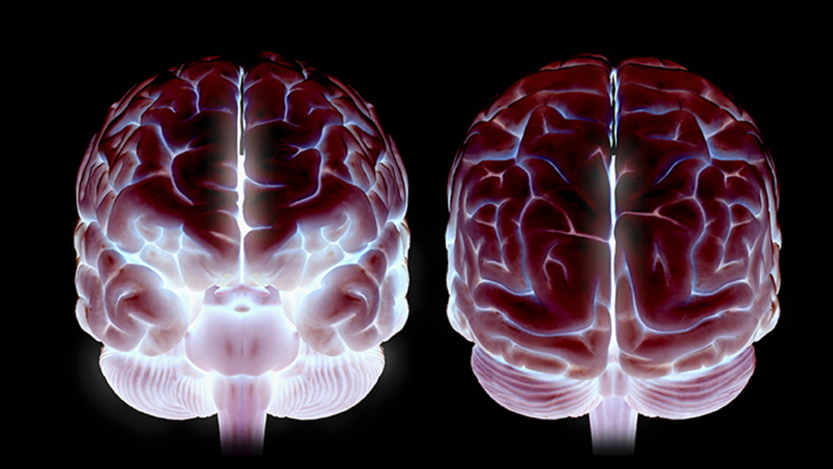 Top 10 in Neuroscience