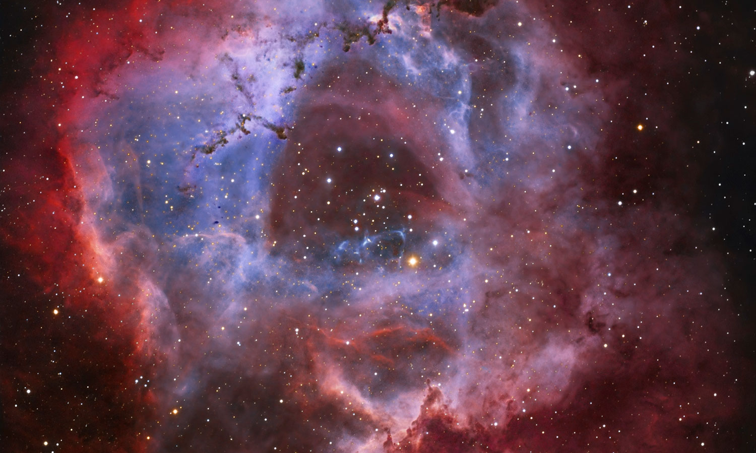 Focal Point on commercial space exploration in Japan