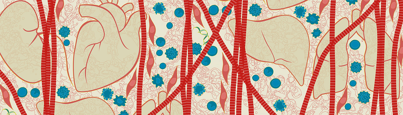 Fibrosis: mechanisms and targets