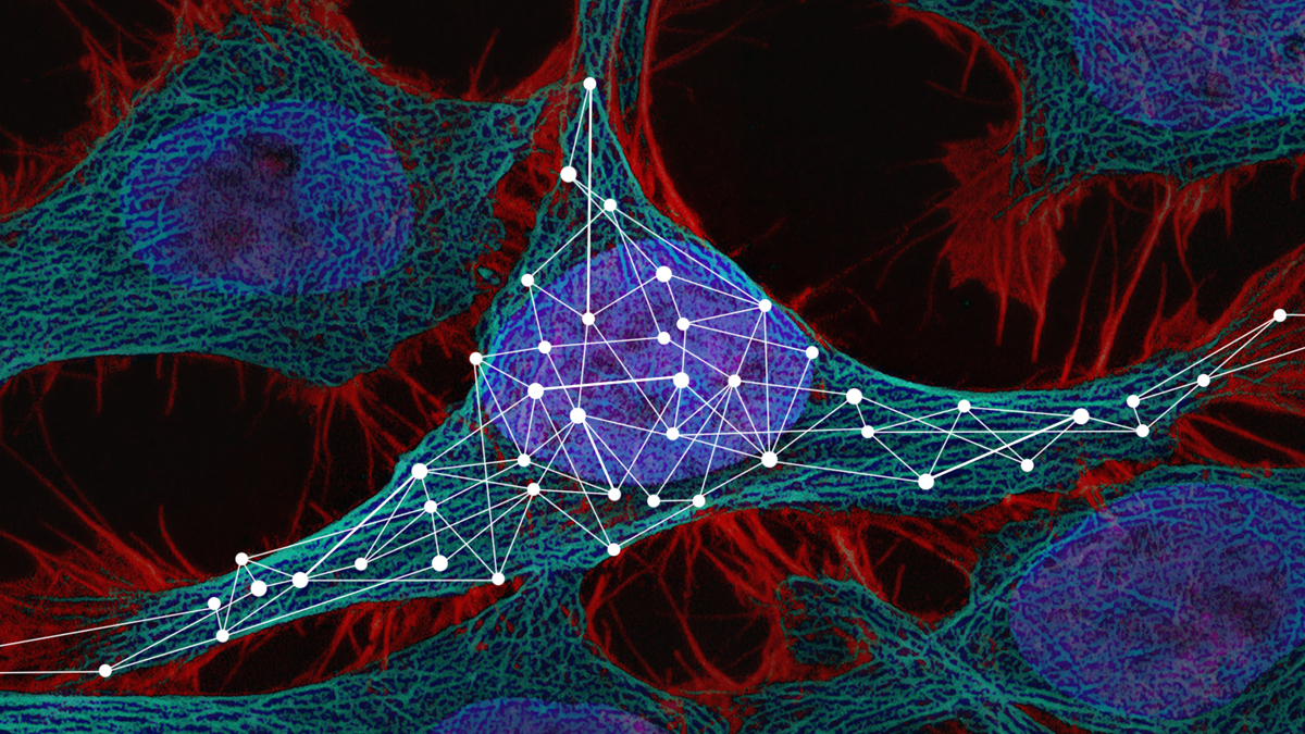 Deep Learning In Microscopy