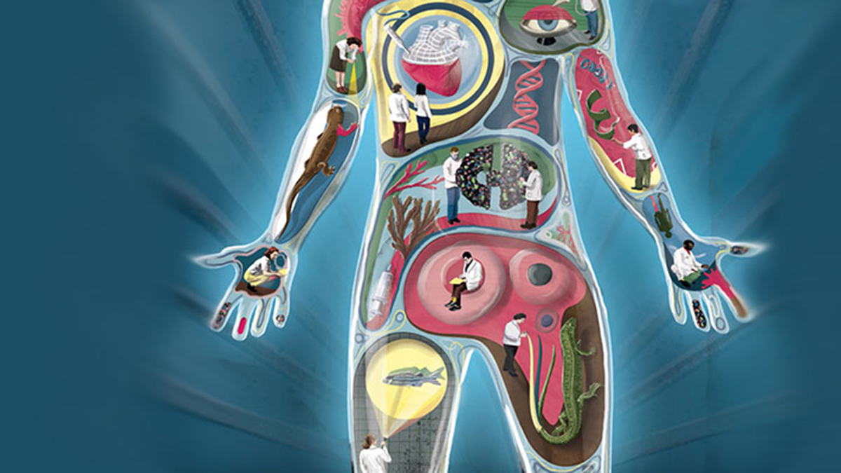 Regenerative medicine